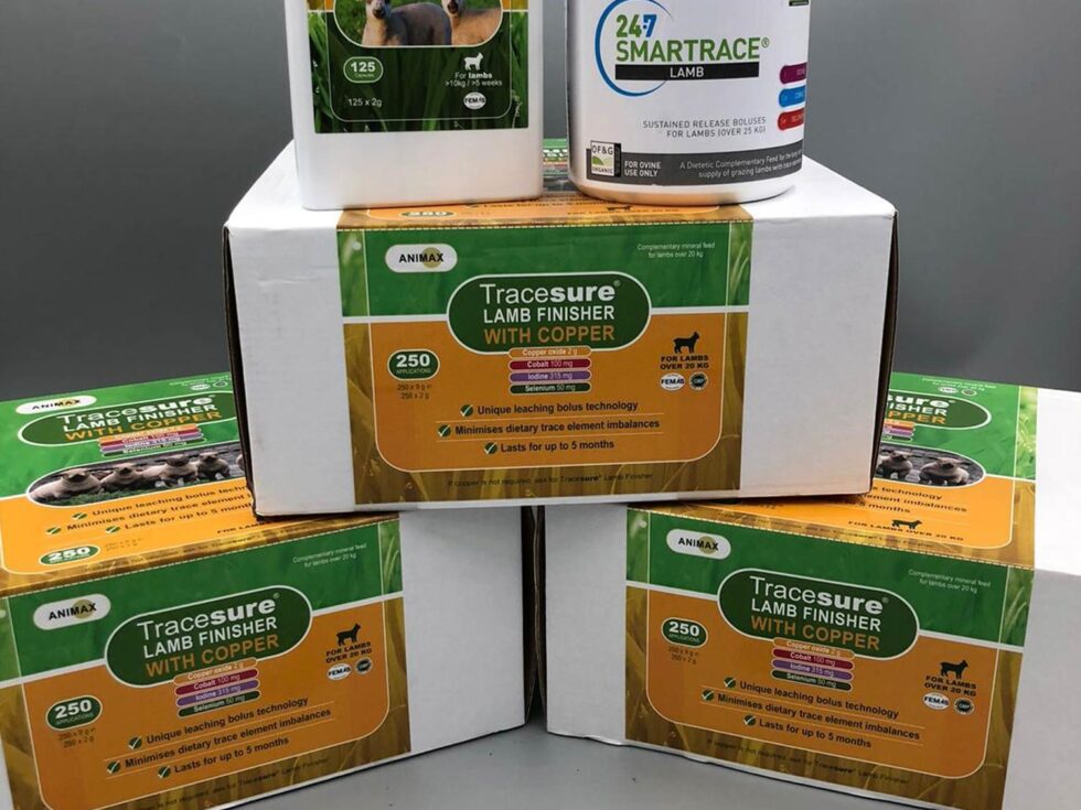 Animal Health Products Supplier | Get Animal Health Supplies Near You
